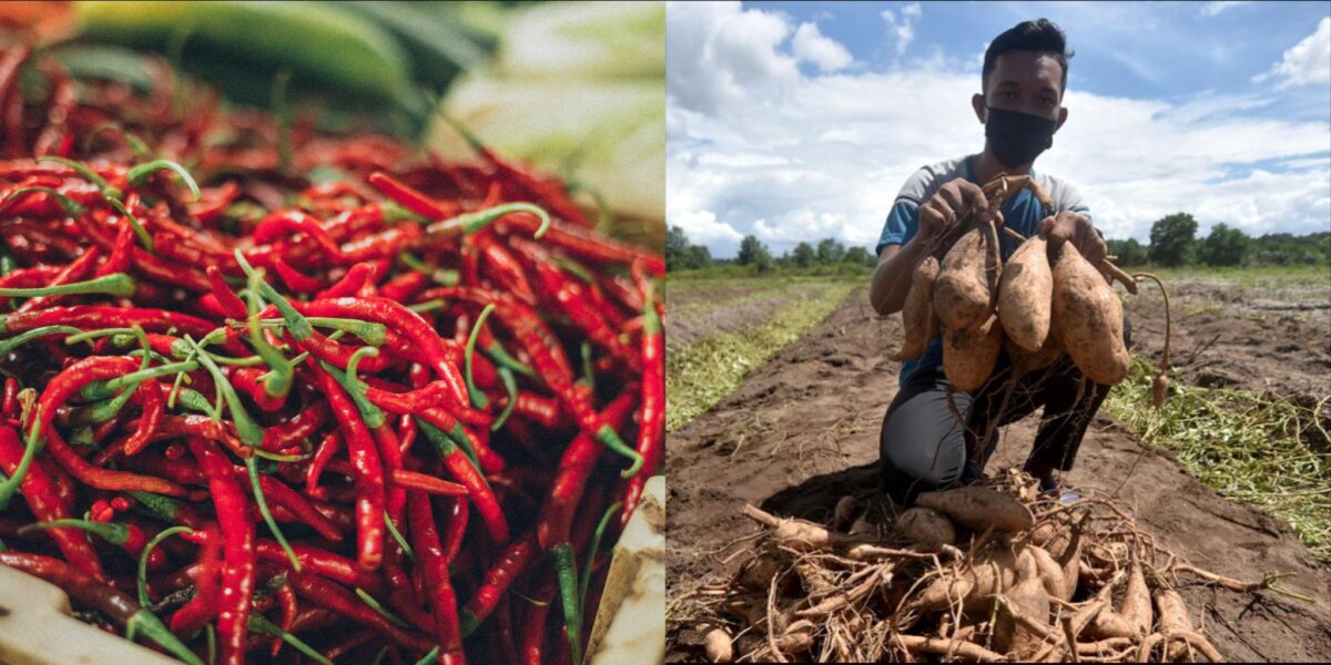 Bagaimana mahu sokong produk tempatan jika produk import lebih murah ...